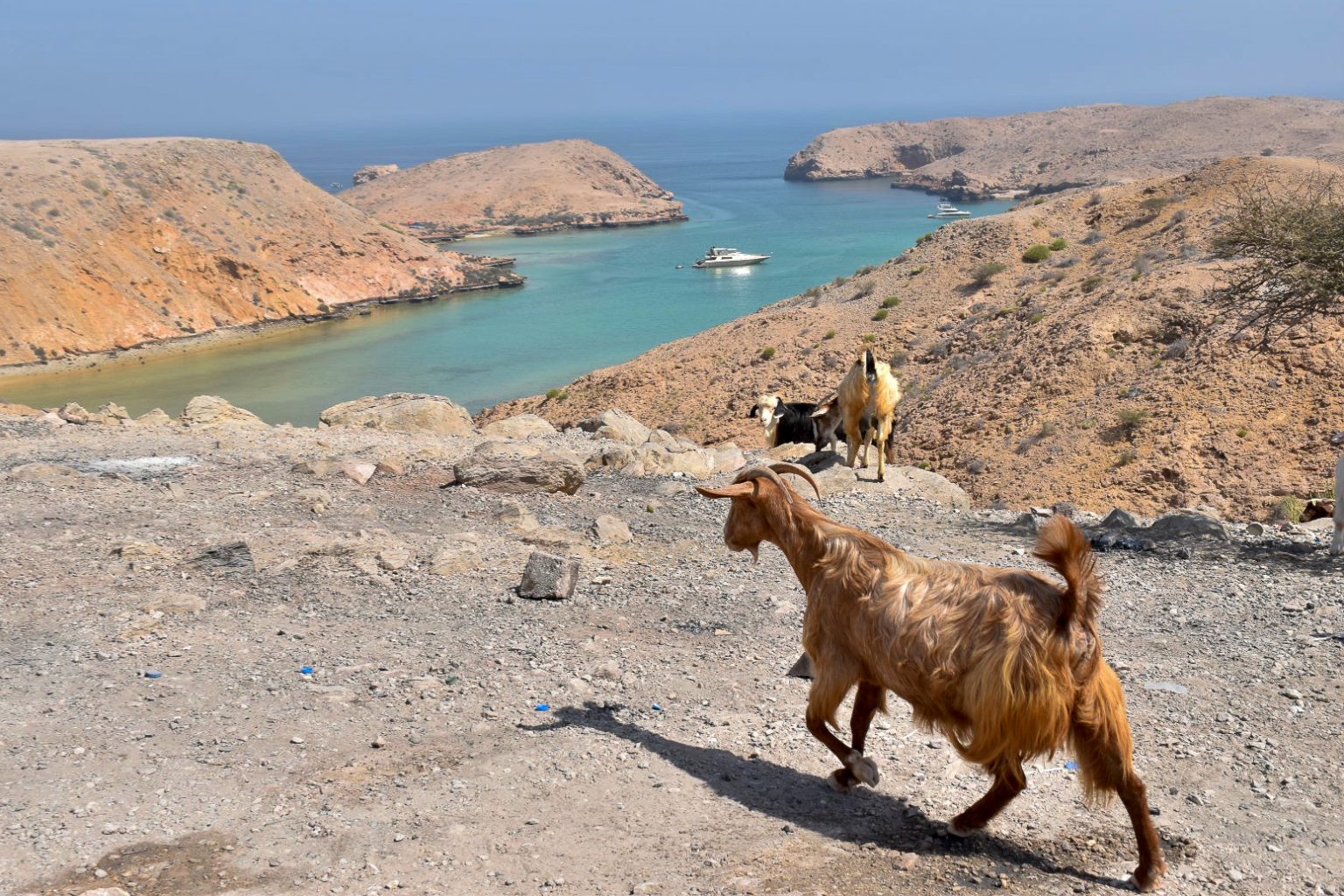 Where to Go For A Day Trip From Muscat, Oman - Love Travel Planning